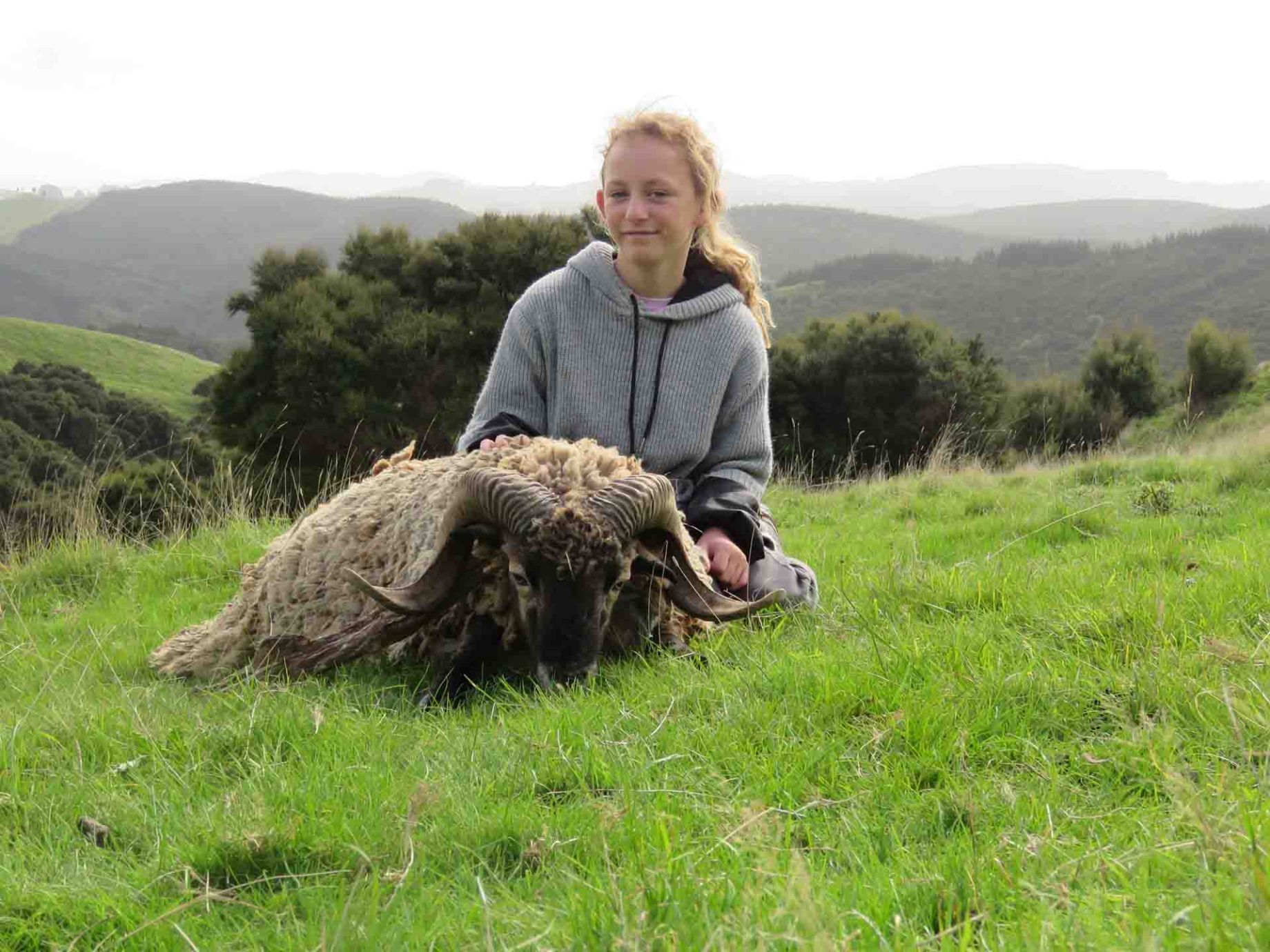 Home [glenorahunting.co.nz]